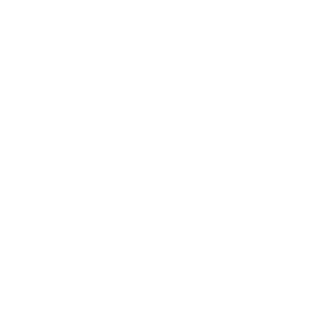 GOOD FUN CORPORATION